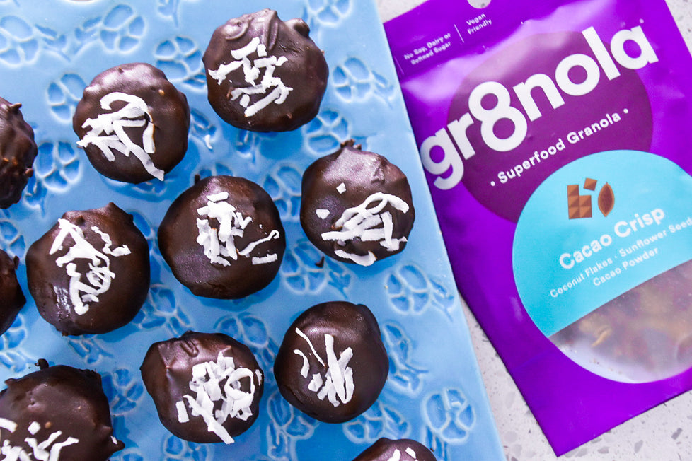 Coconut Cacao Truffles – gr8nola
